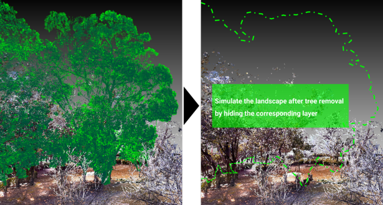 Point Cloud Auto-segmentation To Classify Points into Functional ...